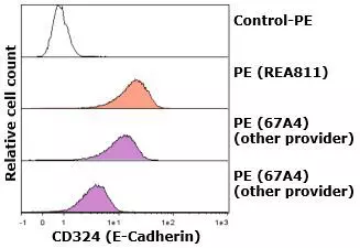 CD324 (E-Cadherin) Antibody, anti-human, REAfinity™ | Miltenyi Biotec | USA