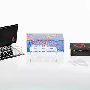 OctoMACS™ Separator and Starting Kits | Miltenyi Biotec | USA