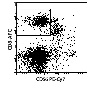 CD8+ Memory T Cell Isolation Kit, human | Miltenyi Biotec | 中国