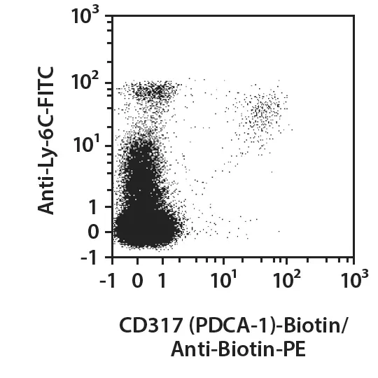 CD317 (PDCA-1) Antibody, anti-mouse, REAfinity™ | Recombinant ...