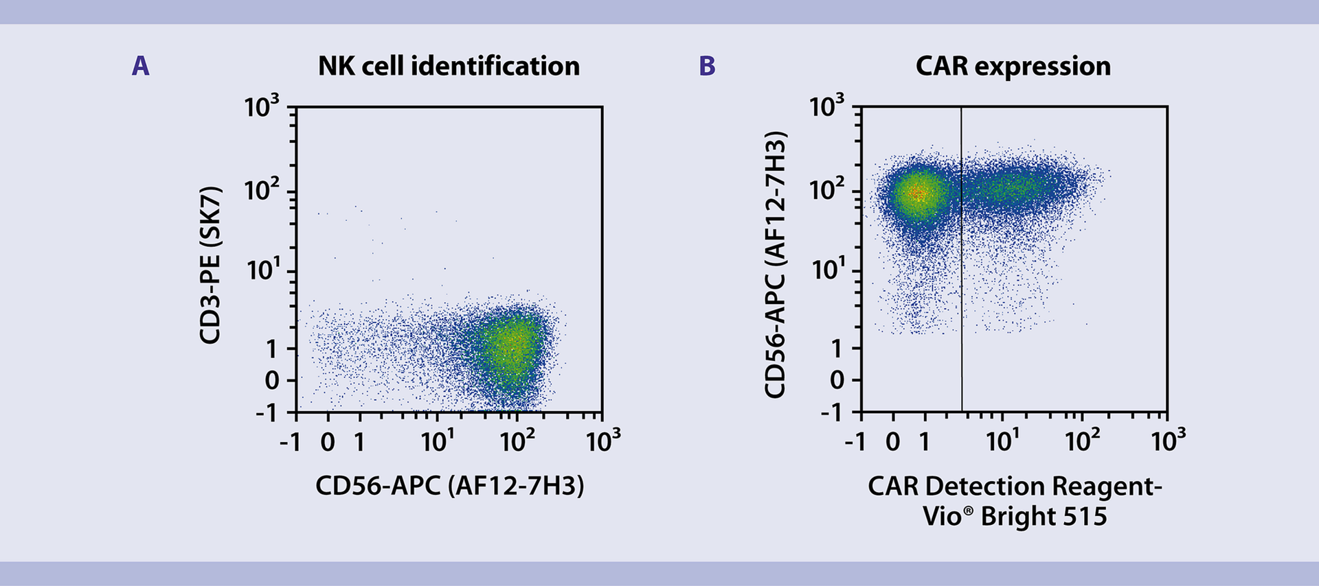 CAR NK cell research workflow | Phenotypic characterization | Miltenyi ...