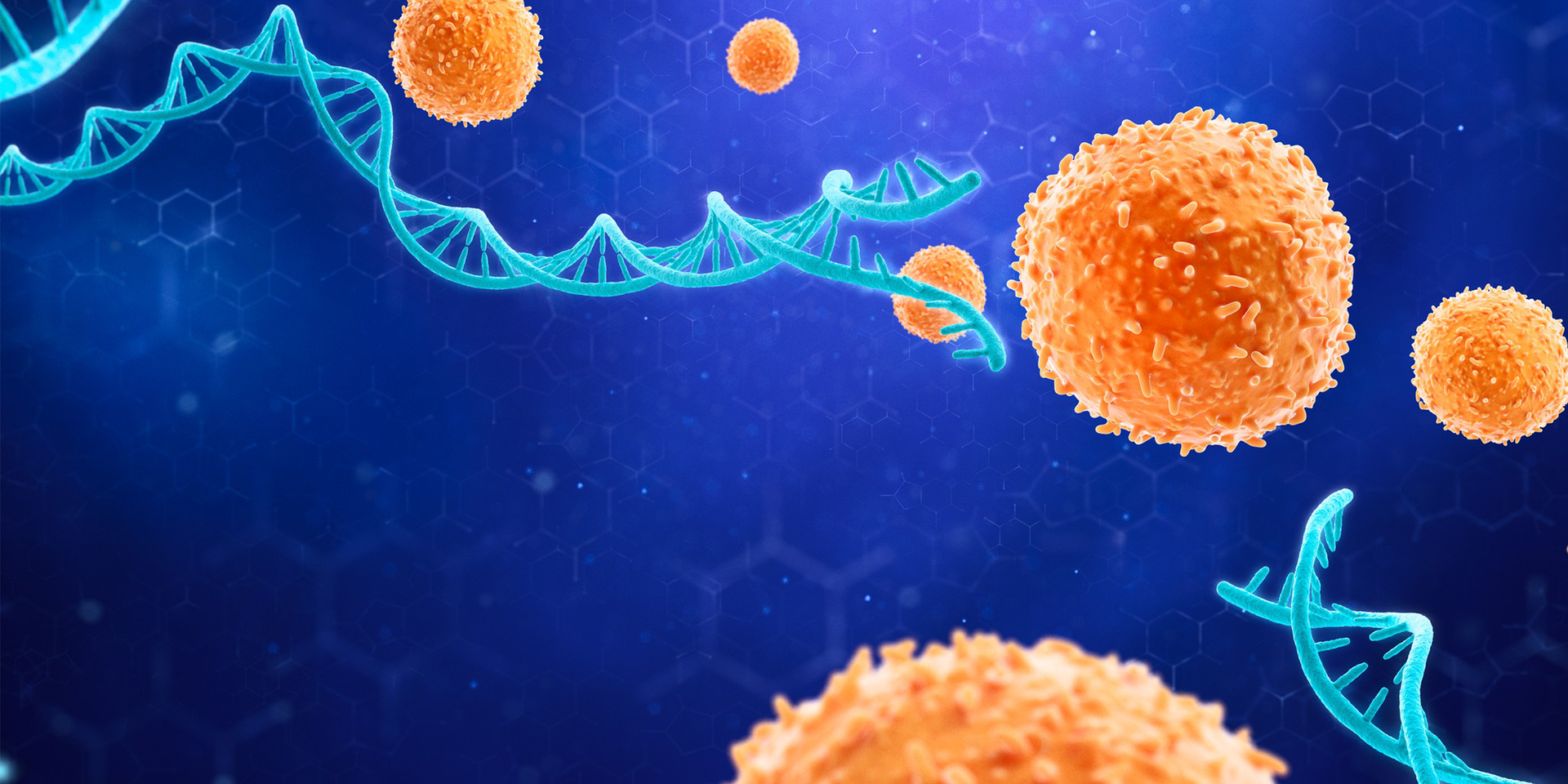 Homepage | Miltenyi Biotec | France