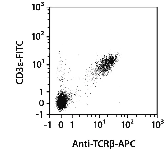 TCRβ Antibody, anti-mouse, REAfinity™ | Miltenyi Biotec | USA