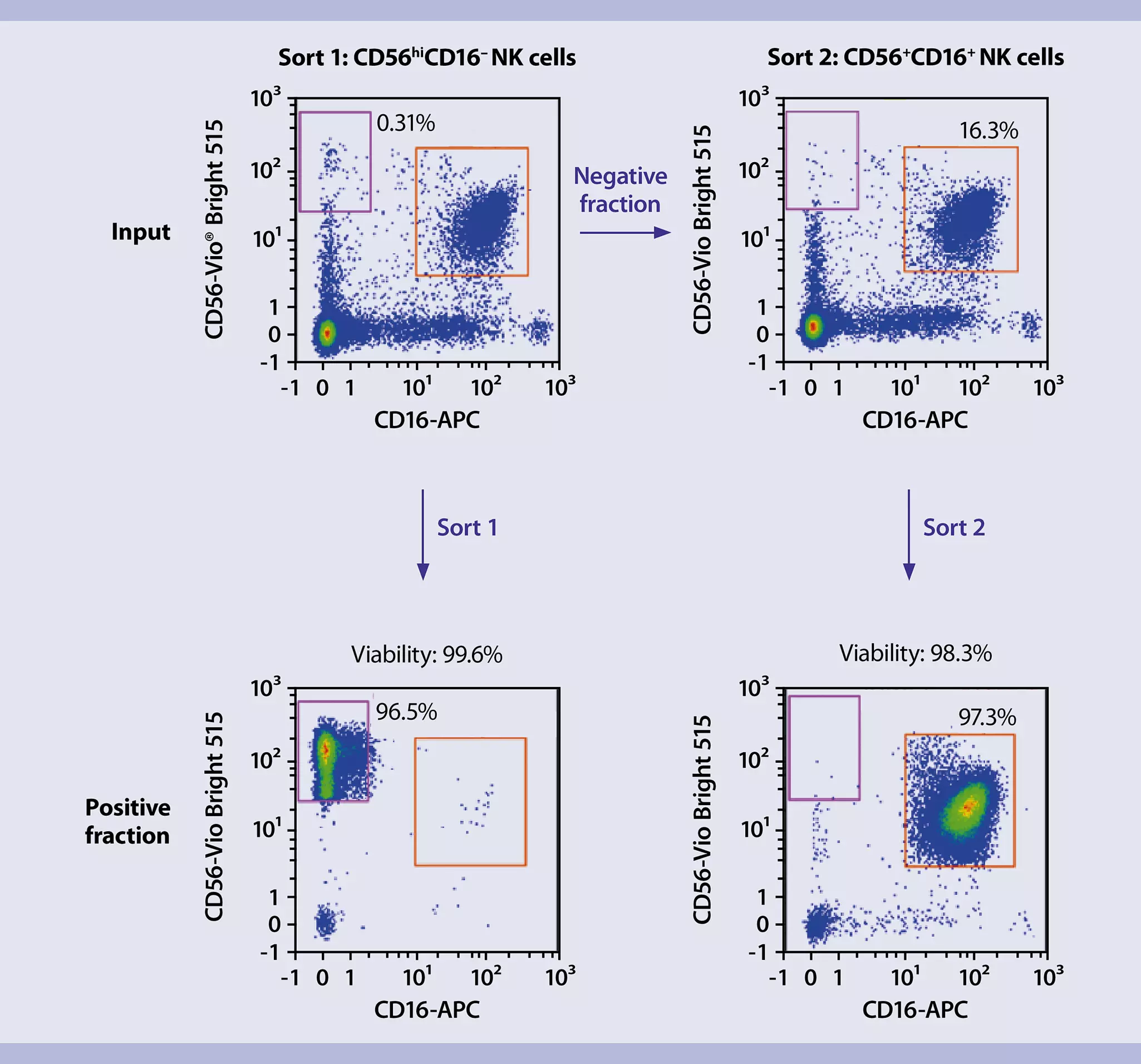 Immune cell sorting | Workflow | MACSQuant® Tyto® | Miltenyi Biotec ...