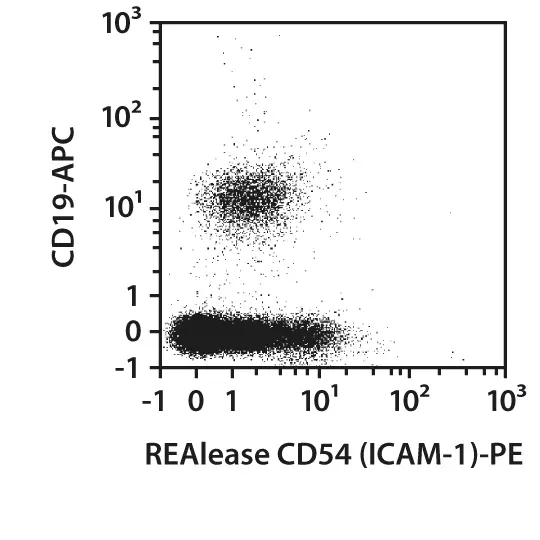 CD54 (ICAM-1) Antibody, anti-human, REAlease® | Miltenyi Biotec | USA