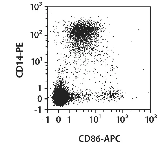 CD86 Antibody, anti-human | Miltenyi Biotec | USA