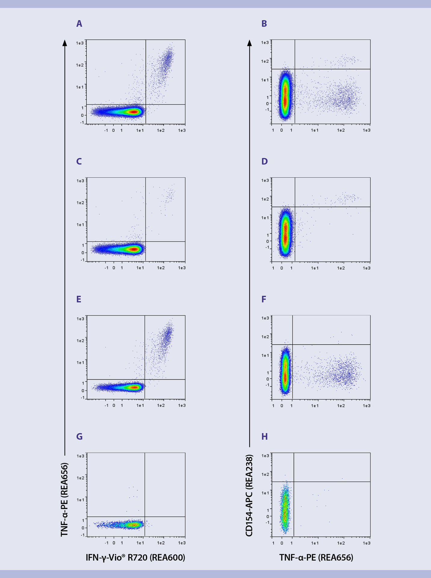 Immunophenotyping | Activated T cells | Protocol | Miltenyi Biotec | USA