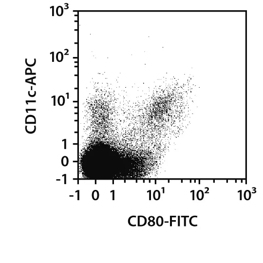 CD80 Antibody, anti-mouse, REAfinity™ | Miltenyi Biotec | USA
