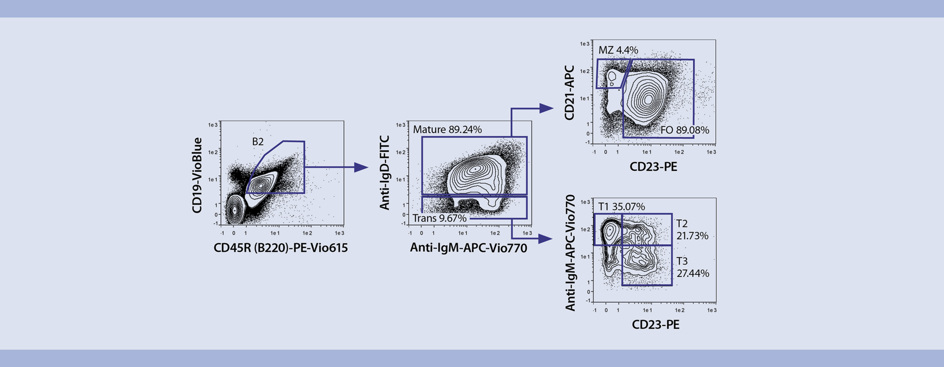 Flow cytometry | B cells from mouse spleen | Protocol | Miltenyi Biotec ...