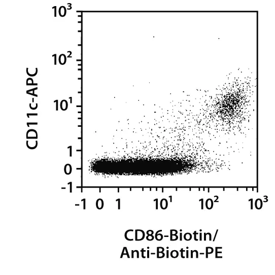 CD86 Antibody, anti-mouse | Miltenyi Biotec | USA