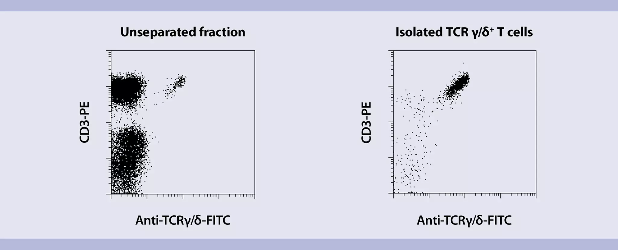 Gamma delta T cells | Research solutions and workflow | Miltenyi Biotec ...