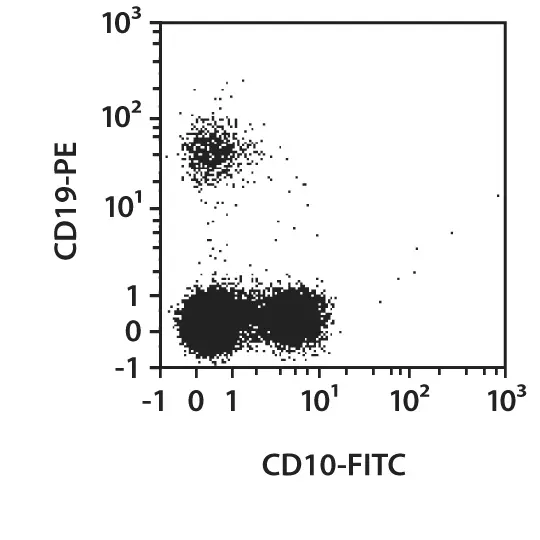 CD10 Antibody, anti-human | Miltenyi Biotec | USA