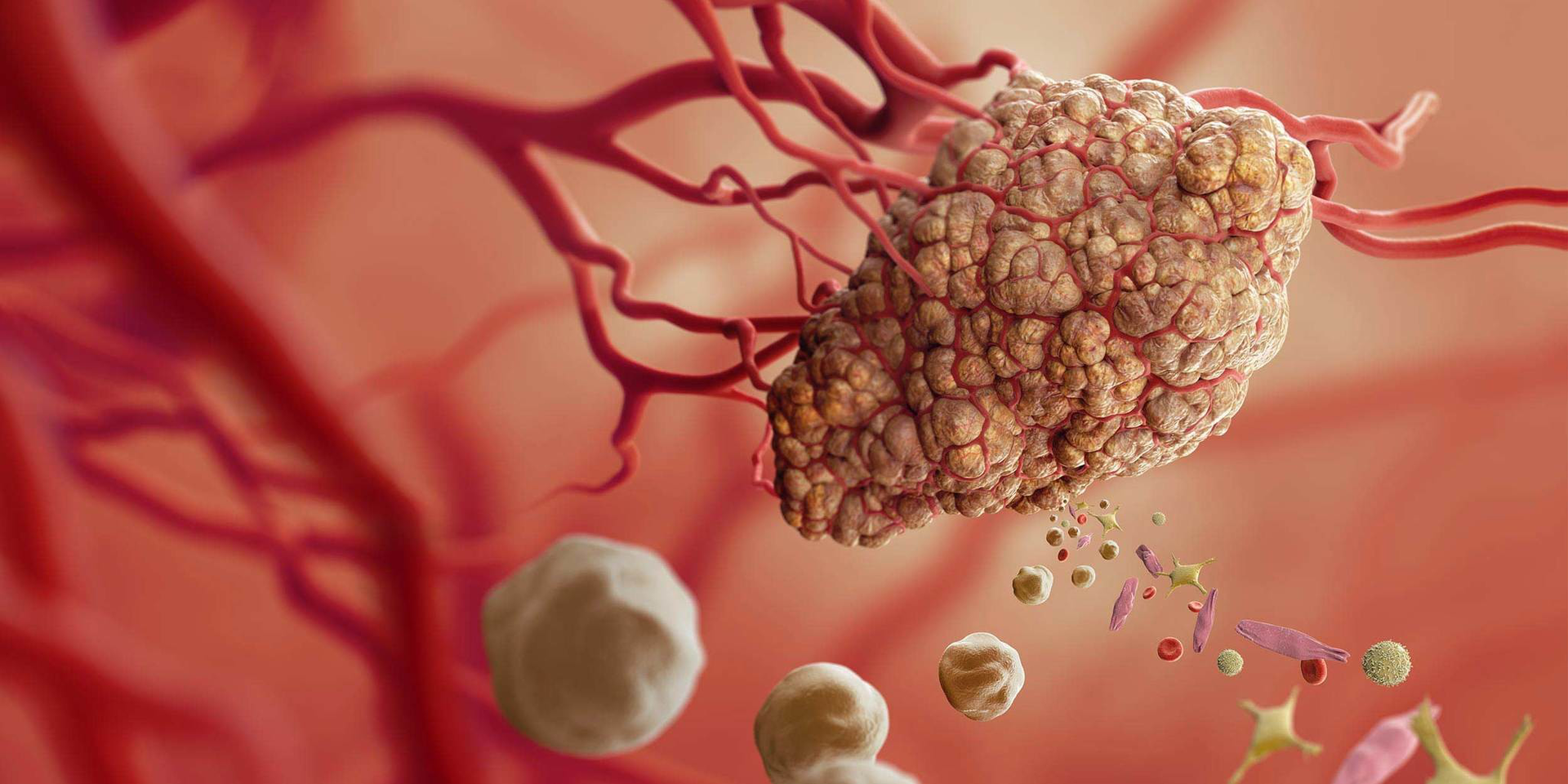 Cancer products | Cell isolation, culture, analysis | Miltenyi Biotec ...