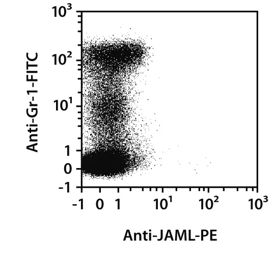 JAML Antibody, anti-mouse, REAfinity™ | Miltenyi Biotec | USA