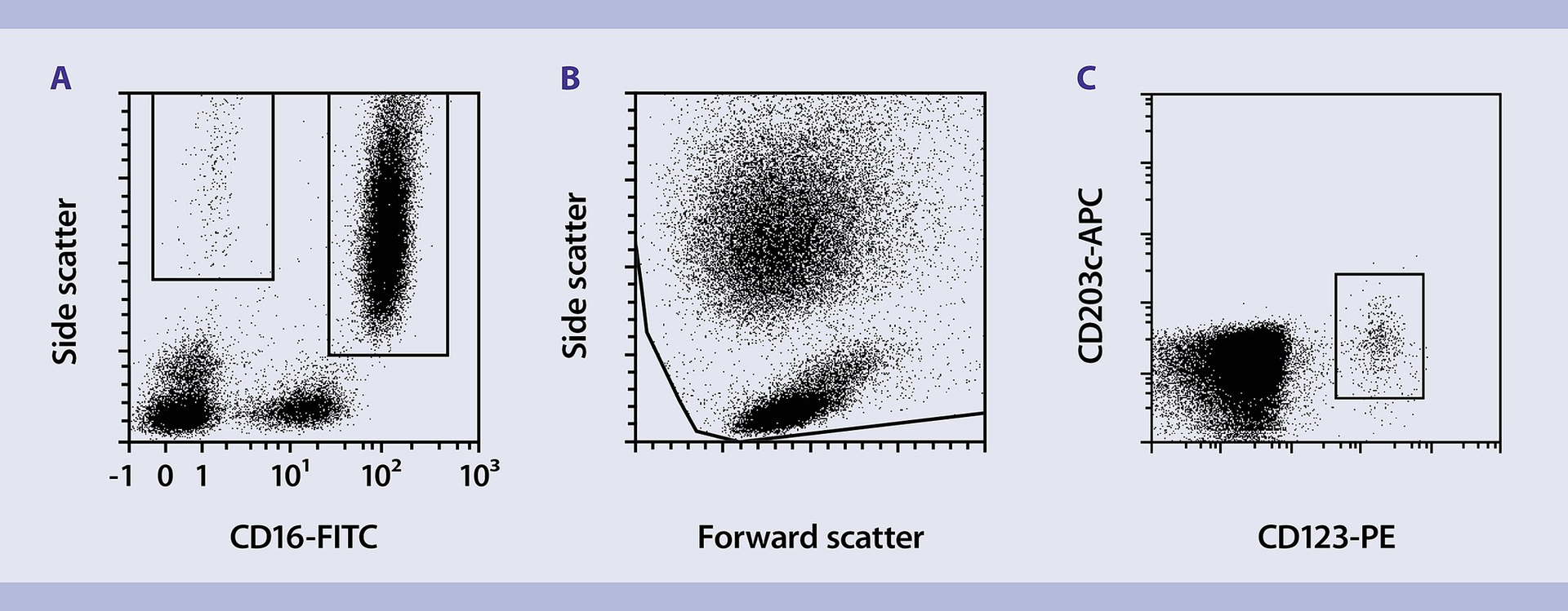 Granulocytes | Polymorphonuclear Leukocytes | Handbook | Miltenyi ...