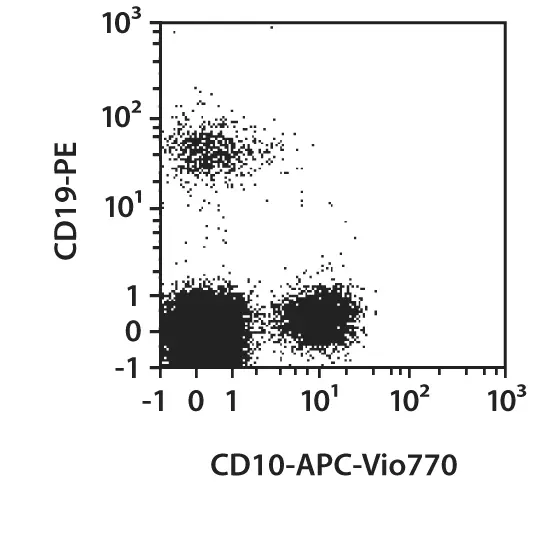 CD10 Antibody, anti-human | Miltenyi Biotec | USA