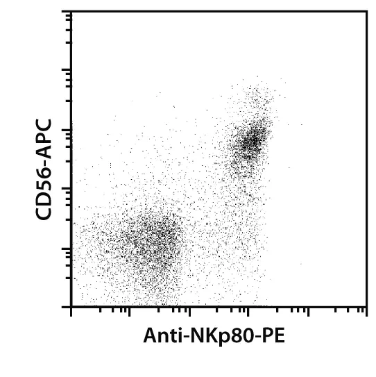 NKp80 Antibody, anti-human | Miltenyi Biotec | USA