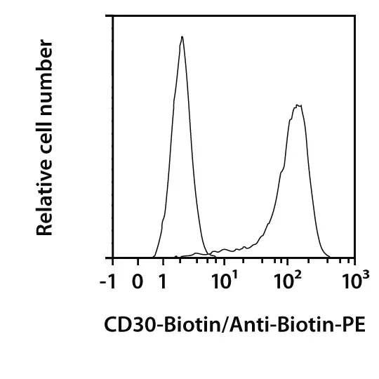 CD30 Antibody, anti-mouse | Miltenyi Biotec | Australia