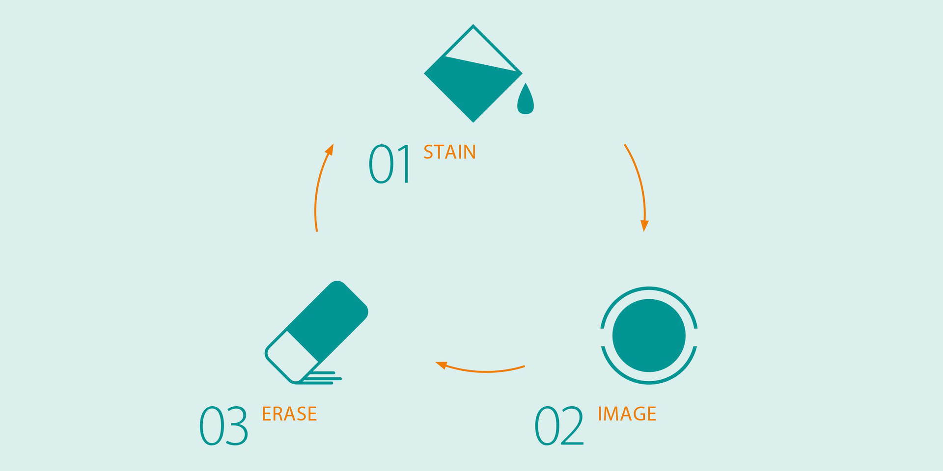Spatial biology | MACSima™ Platform | Multiplex Imaging | Miltenyi ...
