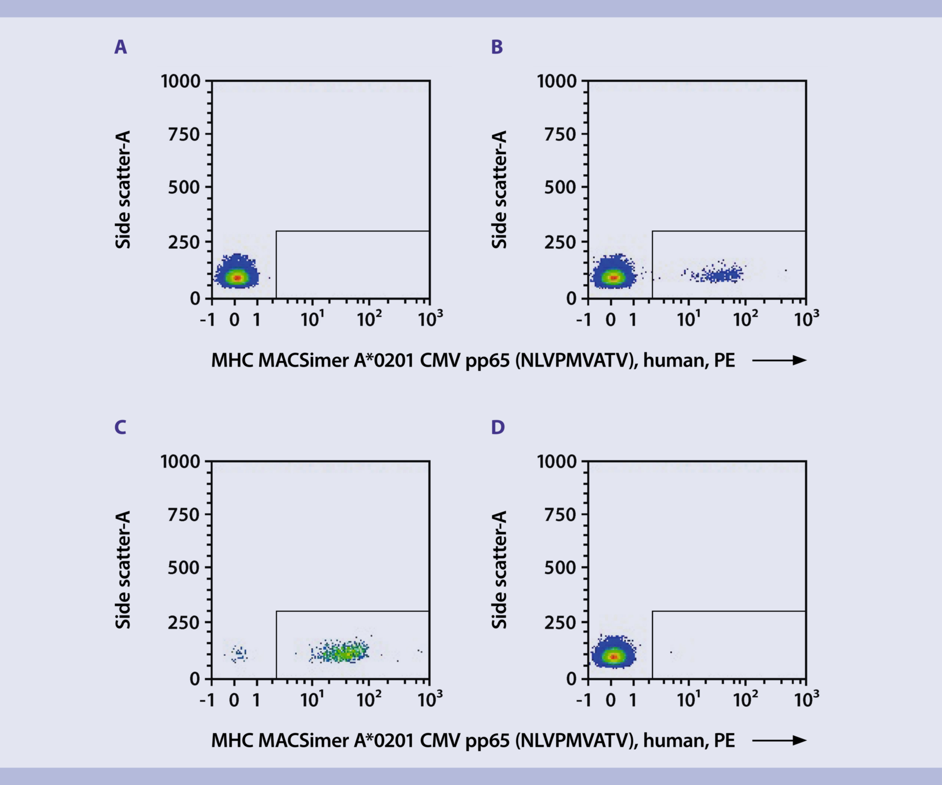 MHC multimers | antigen-specific T cells | MACS Separation | Miltenyi ...