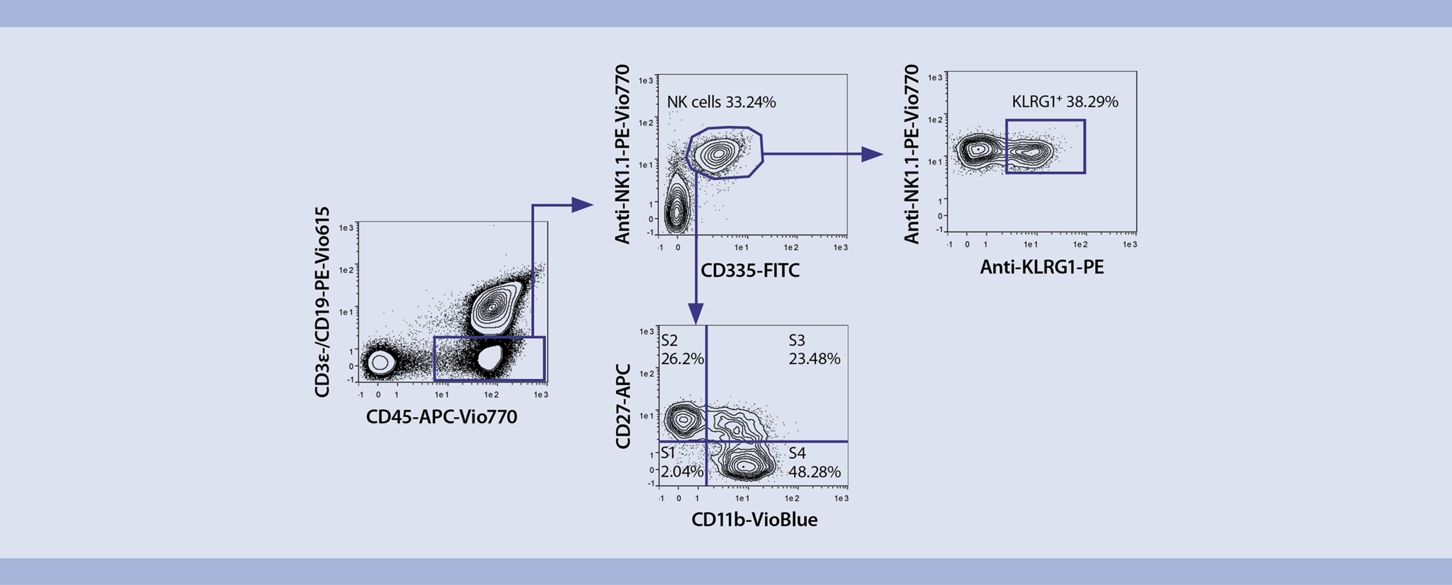 NK cells | Mouse spleen | Flow cytometry | Miltenyi Biotec | Canada