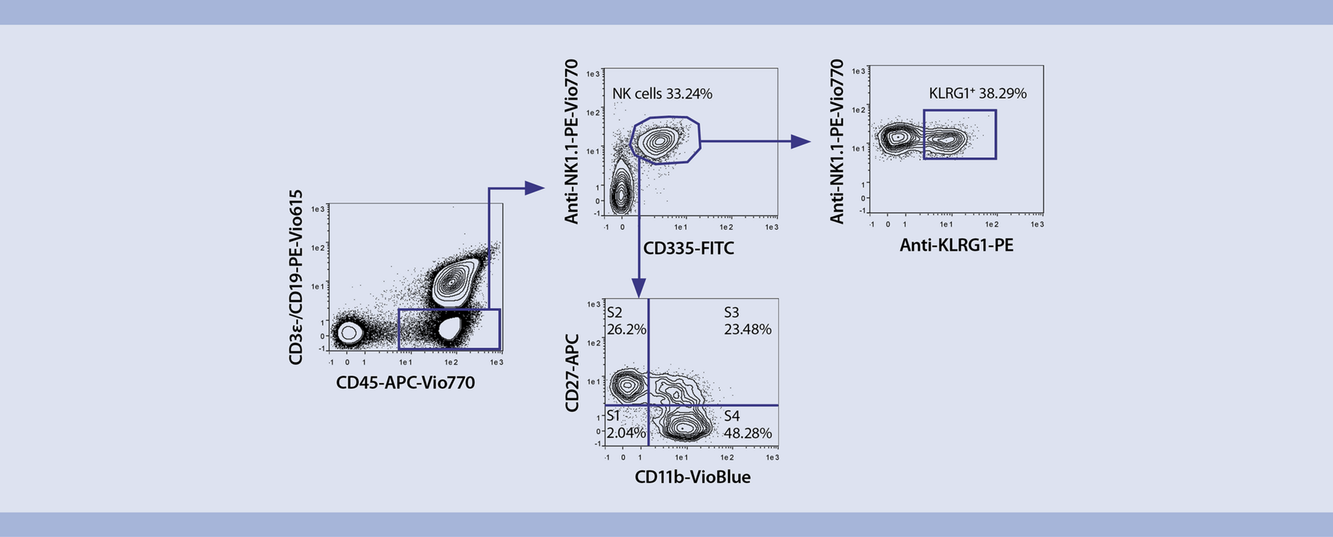 NK cells | Mouse spleen | Flow cytometry | Miltenyi Biotec | Nederland