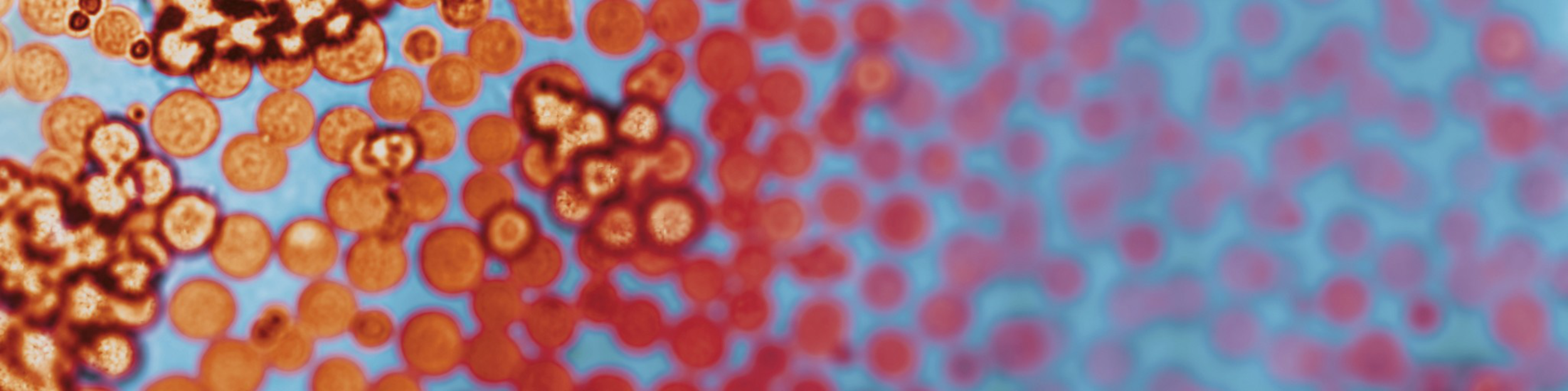 Stimulation reagents | cell stimulation, activation, expansion ...