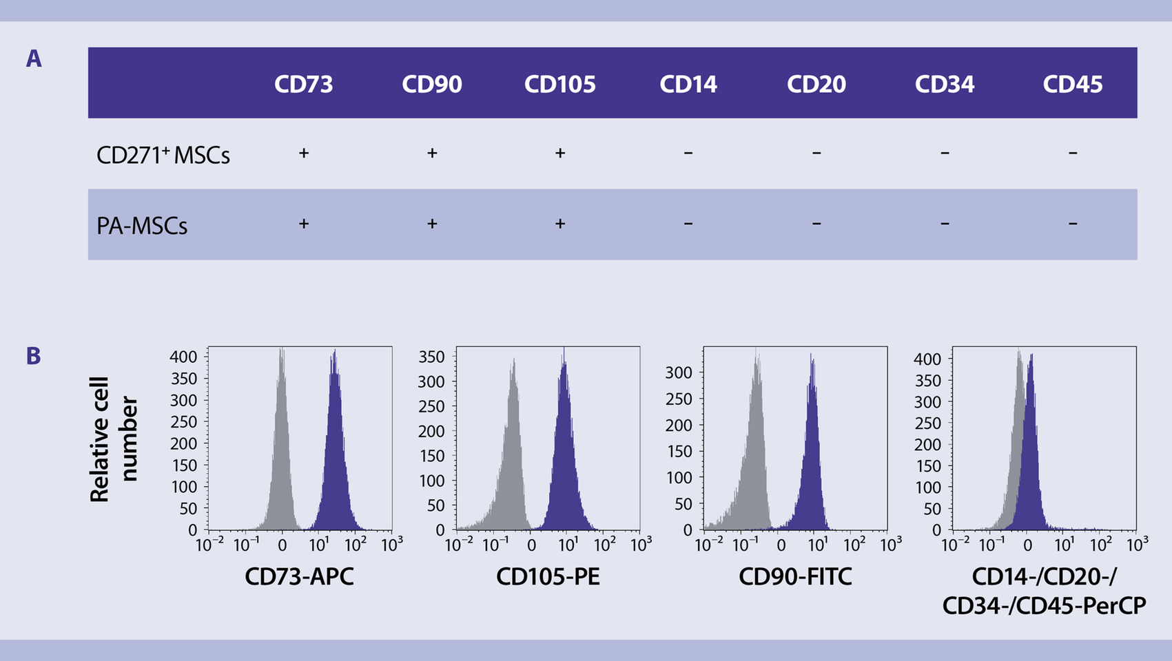 Human mesenchymal stem cells | Miltenyi Biotec | Ireland