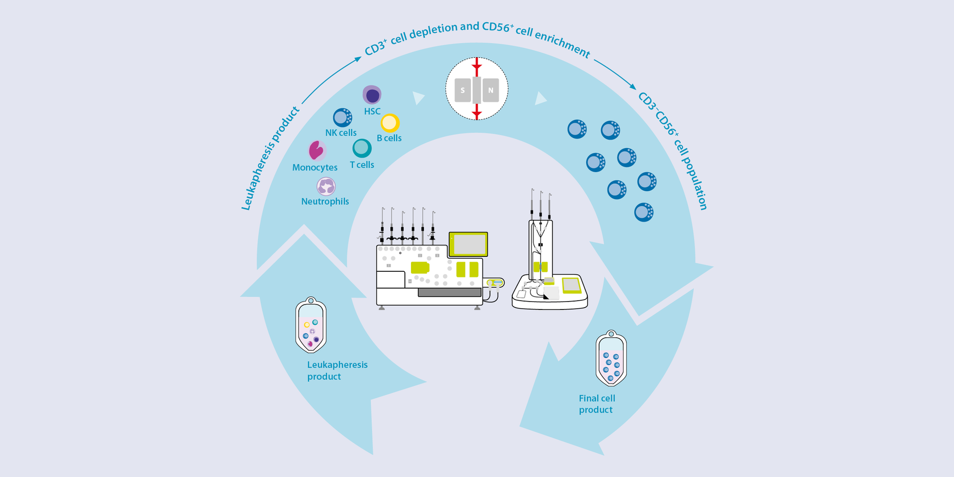 Clinical-grade NK cell separation | Immunotherapy | Miltenyi Biotec | USA