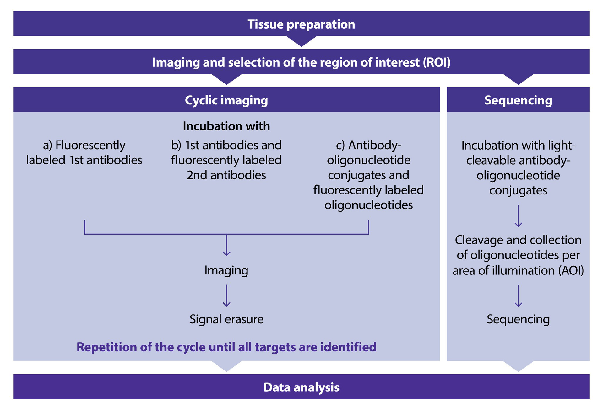 Spatial biology and imaging | Miltenyi Biotec | Australia