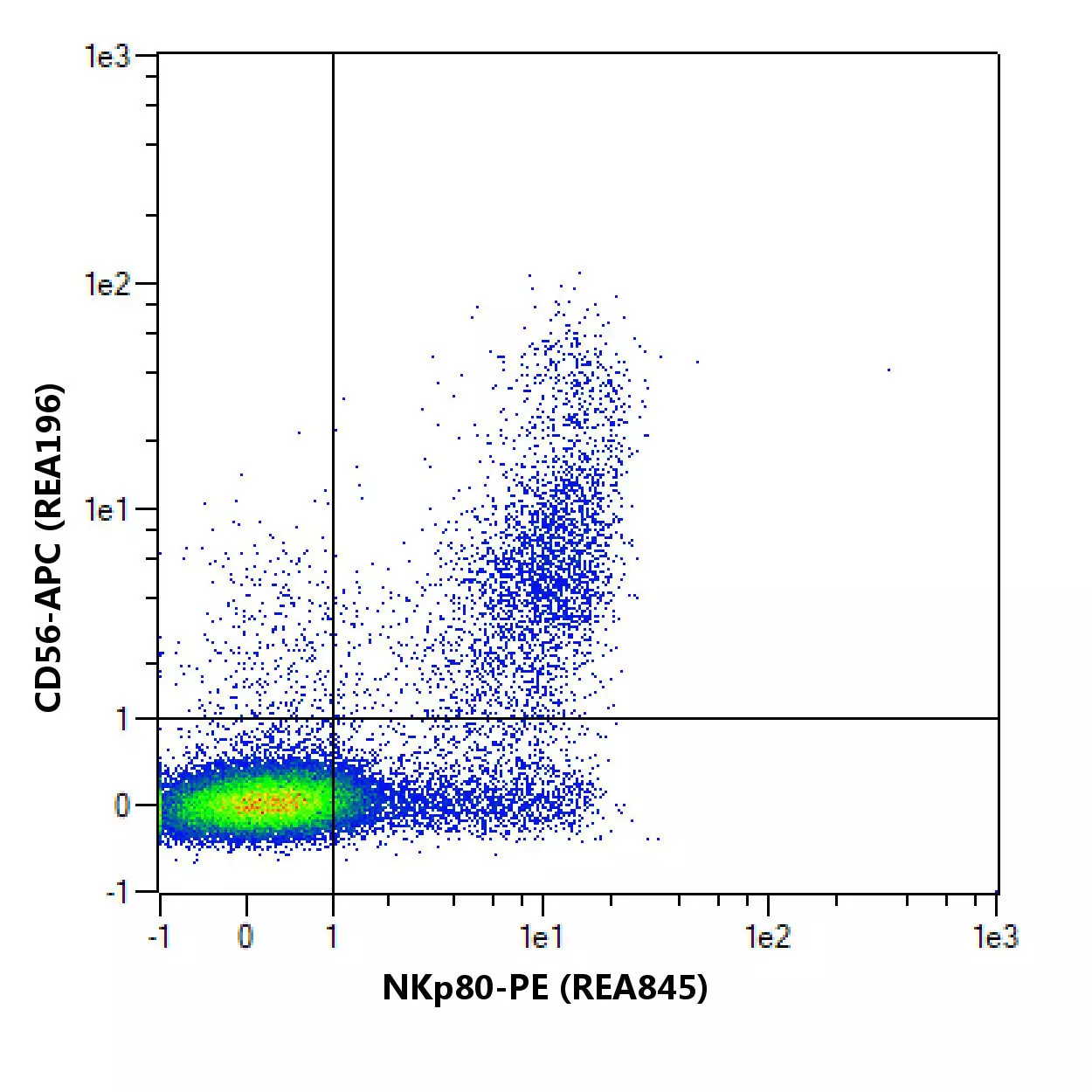 NKp80 Antibody, anti-human | Miltenyi Biotec | USA
