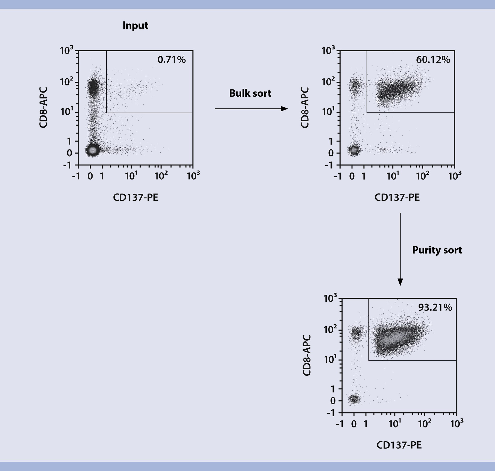 TCR discovery | TCR T cell therapy | Miltenyi Biotec | USA