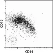 CD16+ Monocyte Isolation Kit, human | Miltenyi Biotec | USA