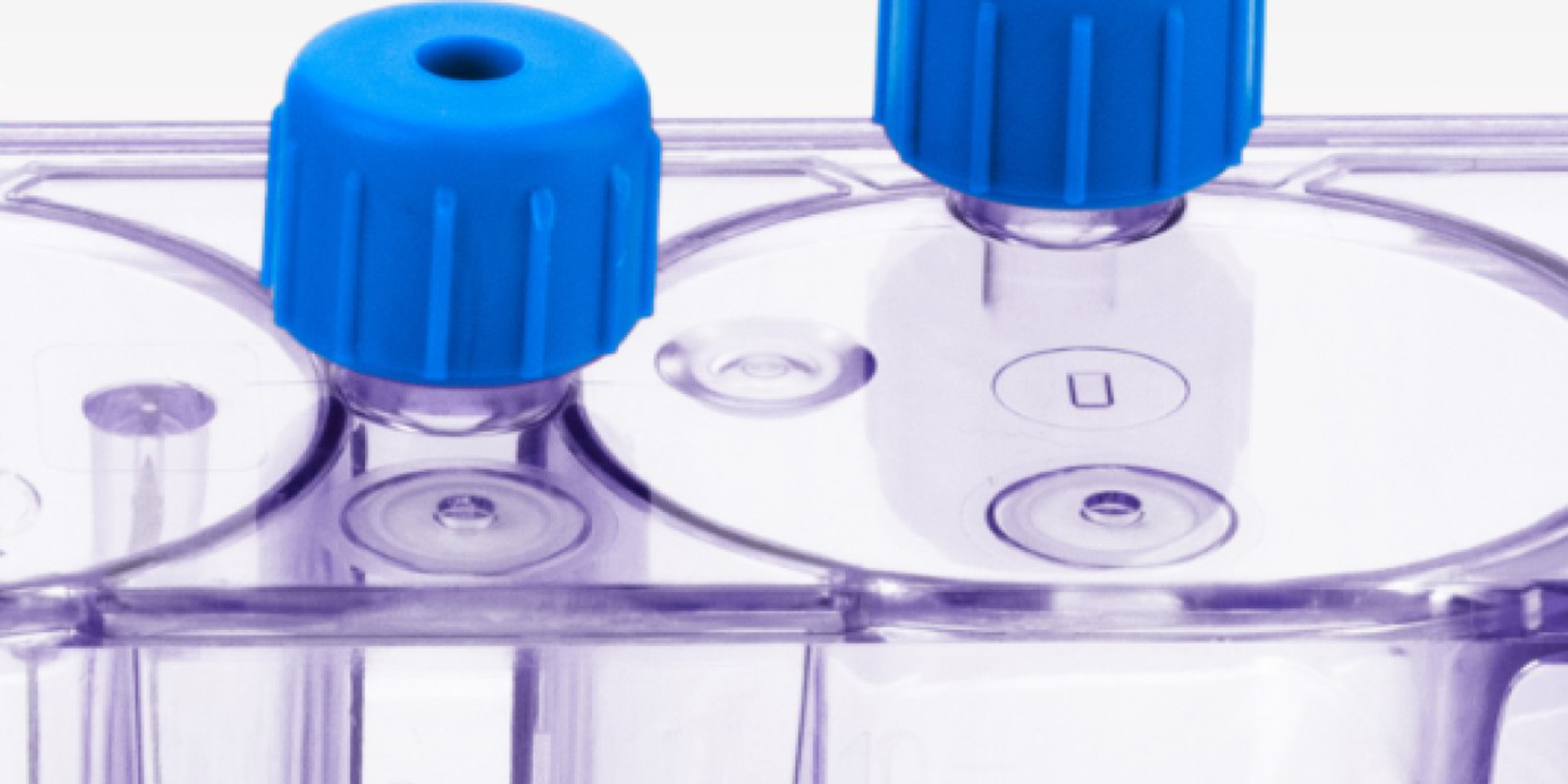 High-risk material sorting | MACSQuant Tyto | Miltenyi Biotec | USA