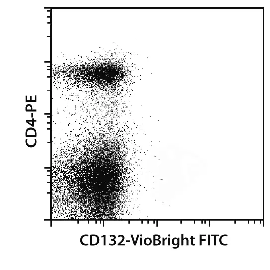 CD132 Antibody, anti-mouse, REAfinity™ | Miltenyi Biotec | USA