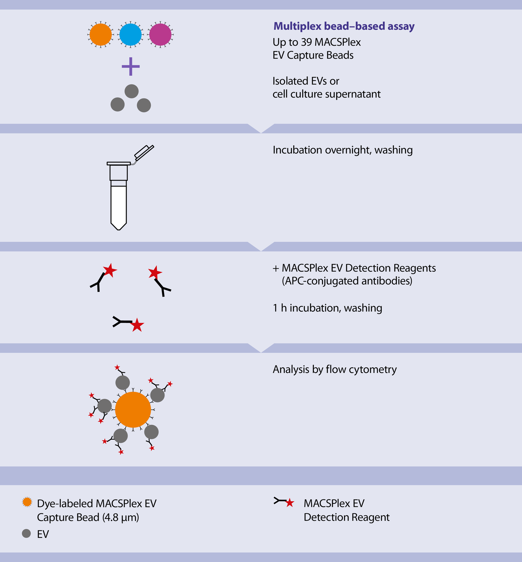Exosome isolation and analysis | Miltenyi Biotec | USA