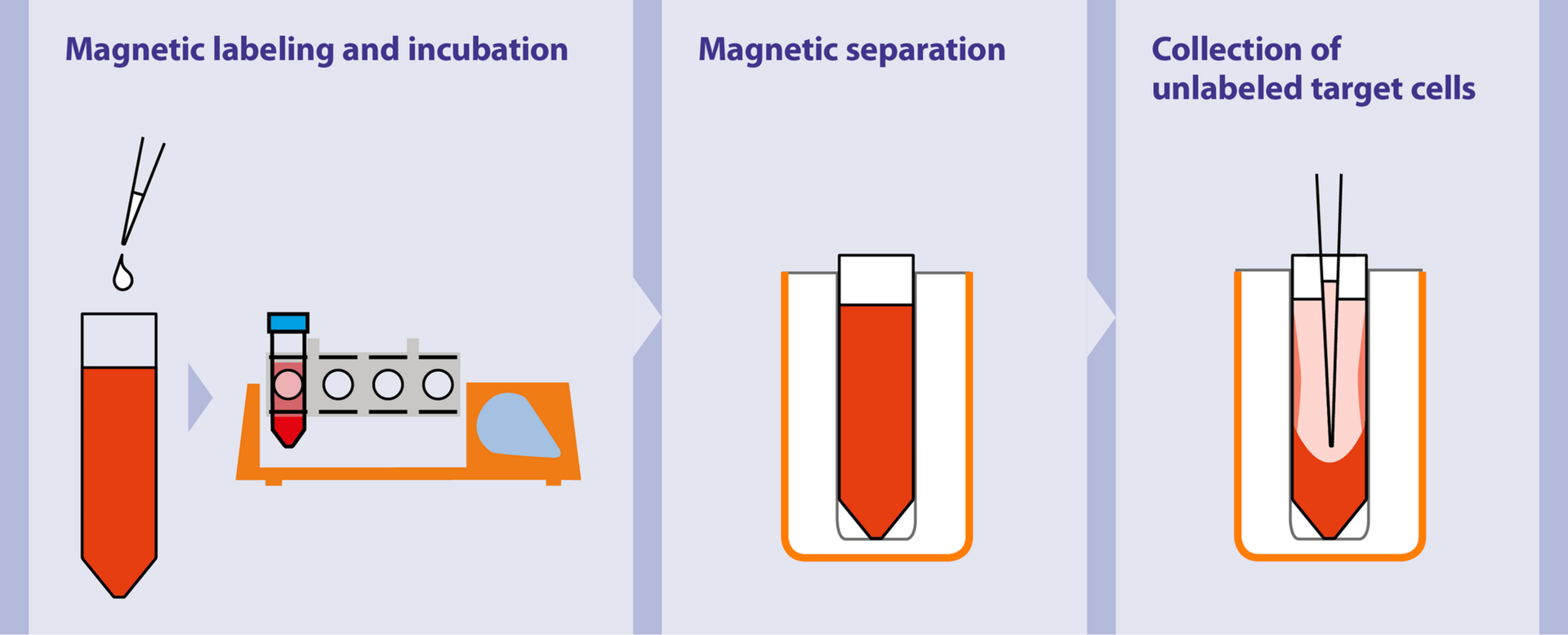 Fast HLA cell isolation for optimal HLA antibody analysis | Miltenyi ...