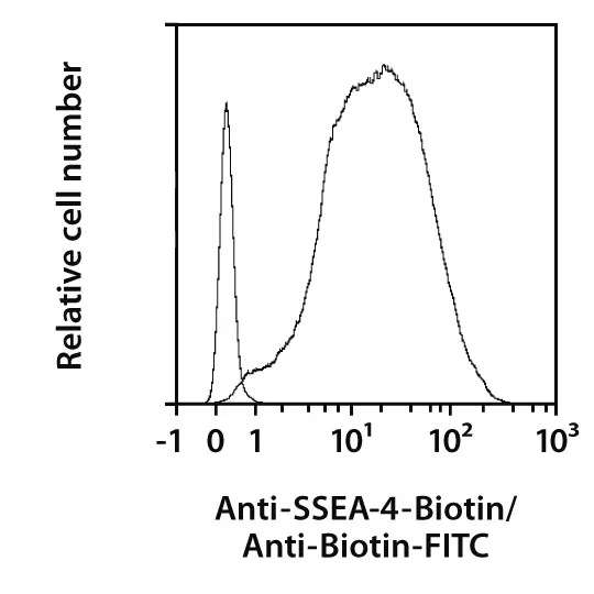 SSEA-4 Antibody, anti-human, REAfinity™ | Miltenyi Biotec | USA