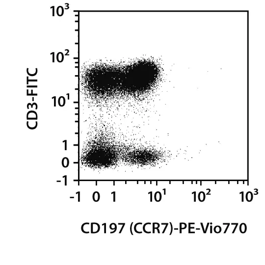 CD197 (CCR7) Antibody, anti-human, REAfinity™ | Miltenyi Biotec | USA