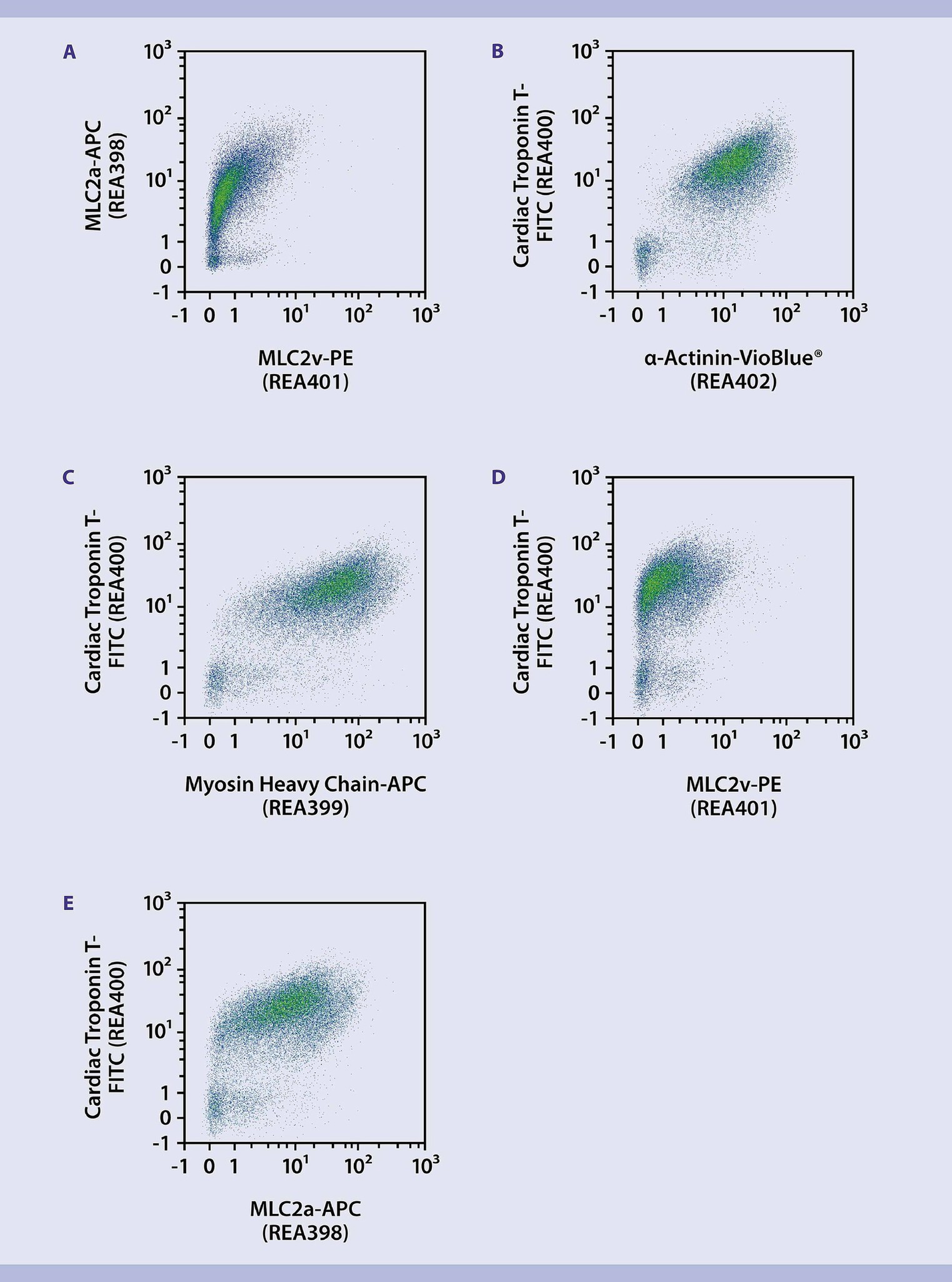 Pluripotent stem cell (PSC) differentiation | Cardiomyocytes | Miltenyi ...