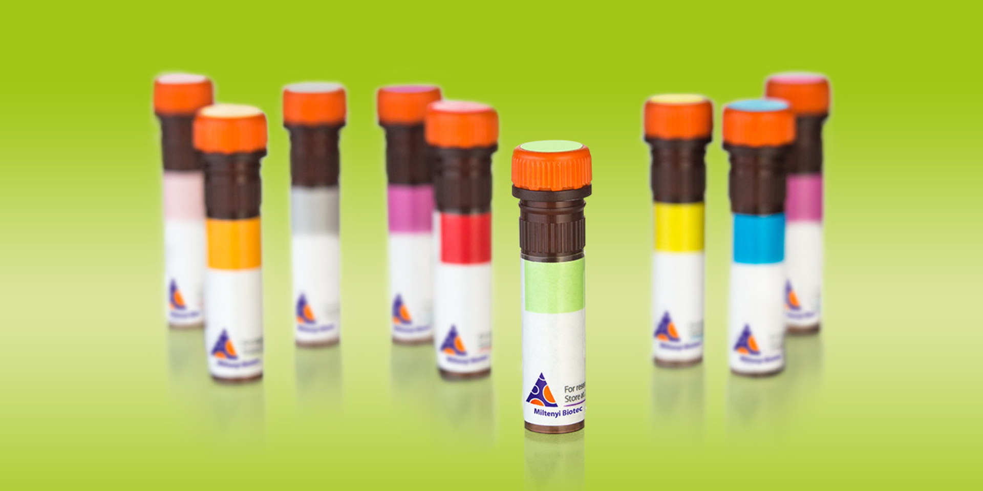 Pluripotent stem cell differentiation to immune cells | Miltenyi Biotec ...