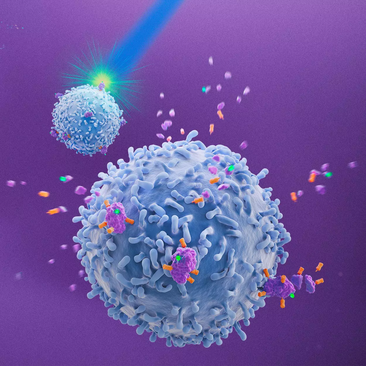 Releasable antibodies for label-free cells | Miltenyi Biotec | भारत
