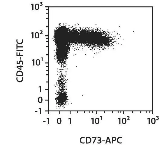 CD73 Antibody, anti-human | Miltenyi Biotec | USA