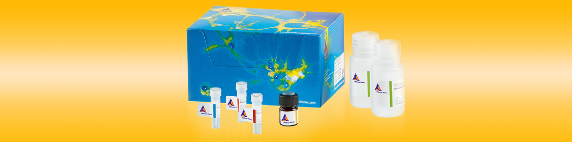 MACS® Tissue Dissociation Kits | gentle and effective | Miltenyi Biotec ...