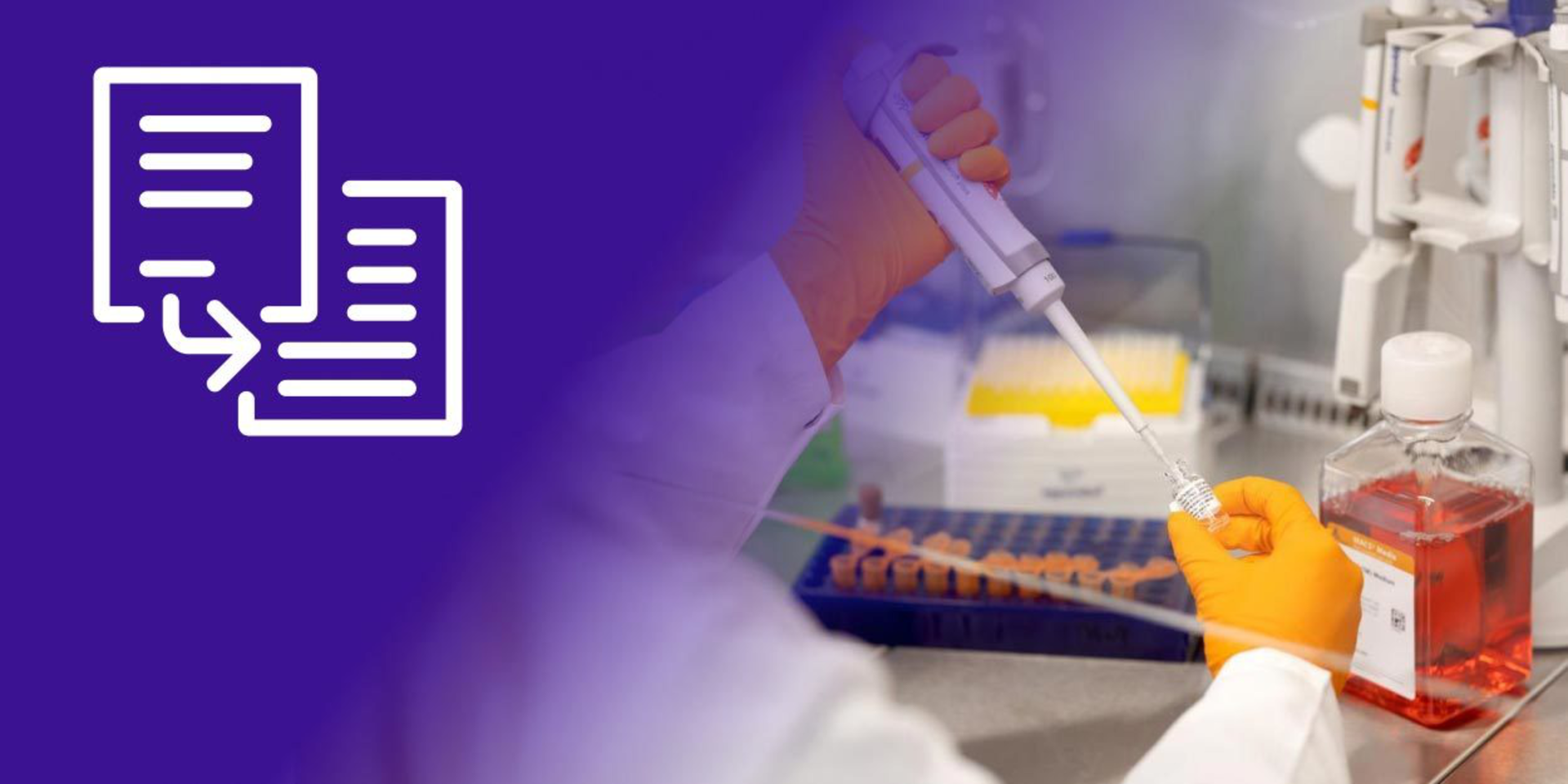 Cancer Vaccines | Oncology | Miltenyi Biotec | 香港