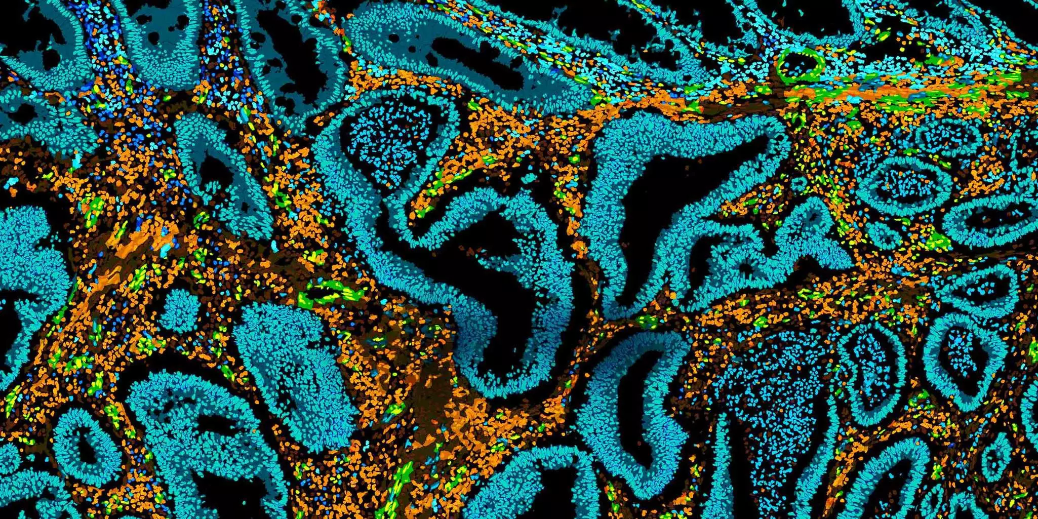Spatial Biology Asia | Miltenyi Biotec | Great Britain