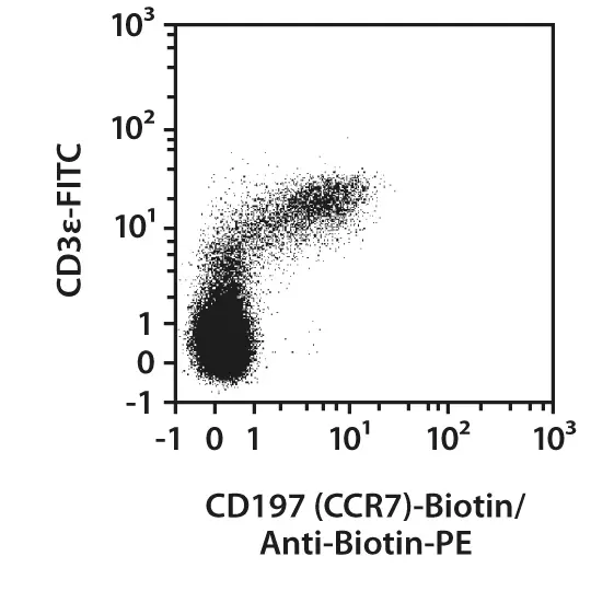 CD197 (CCR7) Antibody, anti-mouse, REAfinity™ | Miltenyi Biotec | USA