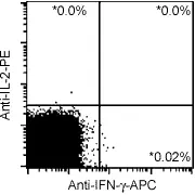 Mouse IFN-γ Secretion Assay – Cell Enrichment and Detection Kit (PE ...