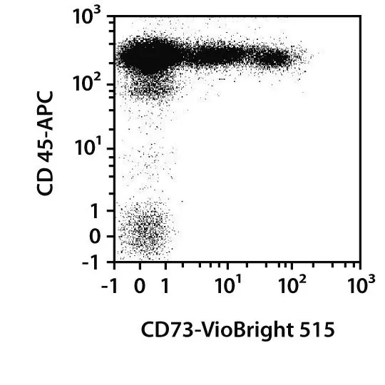 CD73 Antibody, anti-human, REAfinity™ | Miltenyi Biotec | USA