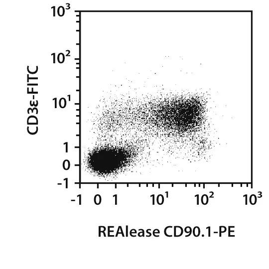 CD90.1 Antibody, anti-mouse, REAlease® | Miltenyi Biotec | USA